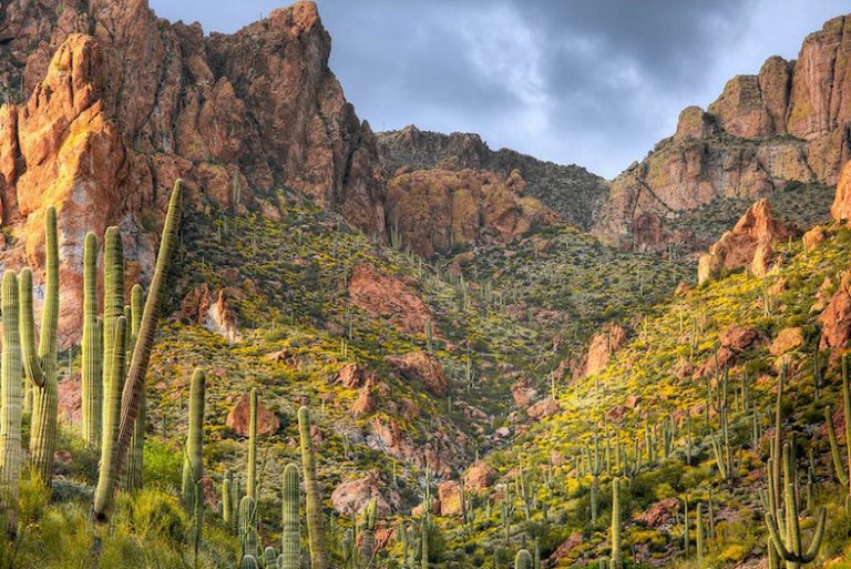 Best Scenic Drives in Phoenix, AZ | Lunde’s Peoria VW